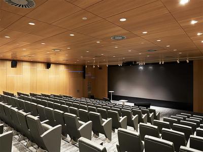 China Conference Hall 0.5mm Microperforated Acoustic Wall Panels Soundproofing Ceiling Board for sale