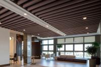 China 2/2/0.5mm Wooden Microperforated Acoustic Baffle Ceiling Tile Torsion Spring Panelized for sale