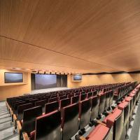 China Auditorium Ceiling Tile Woodgrain Nano 2/2/0.5mm Microperforated Sound Absorbing Panels for sale