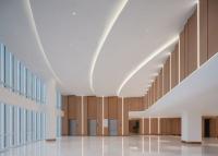 China Lobby Wall 0.5mm Micro Perforated Acoustic Panel Wall Sound Absorption Decorative Board for sale