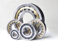 China Double Row Chrome Steel Bearings Open Seals Gearbox Bearing NJ2320 for sale