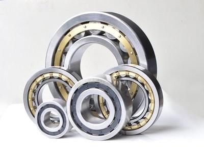 China Double Row Chrome Steel Bearings Open Seals Gearbox Bearing NJ2320 for sale
