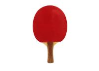 China Beginner Playing Table Tennis Paddles Pimple Out / In Rubber With Sponge for sale