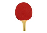 China Family Beginner Table Tennis Bats Simple Standard Size Pimple Out Rubber Without Sponge for sale