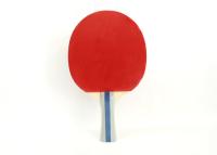 China Colour Handle Table Tennis Rackets 6mm Poplar Plywood for fun to play for sale