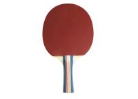 China Poplar Table Tennis Rackets with Colour Handle and Orange Sponge for fun player for sale
