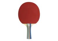 China Colour Handle Table Tennis Rackets Double Reverse Rubber with Sponge for Fun to play for sale