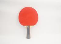 China Defensive And Offensive Table Tennis Rackets For Ping Pong Player for sale