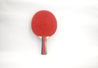 China Professional Plywood Table Tennis Paddle / Ping Pong Bats 12 PCS / Box for sale