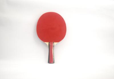 China Professional Plywood Table Tennis Paddle / Ping Pong Bats 12 PCS / Box for sale
