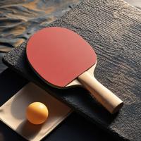 China Pure Wood Table Tennis Racket With Double Reverse Rubber for sale