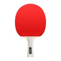 China Upgrade Your Table Tennis Experience With 3 Star Rackets Other Paddle Included for sale