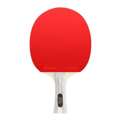 China Control Well Rackets For Table Tennis For Allround Excellence for sale
