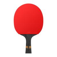 China Pure Wood Paddle Rackets For Table Tennis Control Well Allround Players' Winning Combination for sale