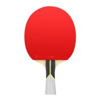 China Carbon Fiber Blade Material Table Tennis Rackets Level 3 Star for Professional Grade Play for sale