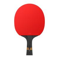 China Paddle Rackets For Table Tennis Professional Carbon Fiber Blade Material for sale