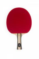 China Combined Handle Professional Table Tennis Racket Pimple In Sponge 2.0mm Star Style for sale