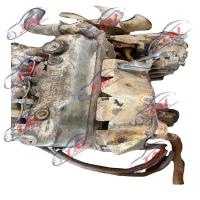 China Used Complete Engine Parts 4D31 For Mitsubishi Excavator Parts Rated Power 107/4000 kW/rpm WHATSAPP 86 19860816656 for sale