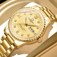 China Automatic Movement Men's Mechanical Sports Watch Sleek Design Scratch Resistant Crystal Suitable for Sports Enthusiasts for sale