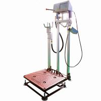 China 180kg Cooking Gas Chained Model 110V LPG Refilling Machine for sale