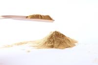 China New Product Plasma Hydrolysate Protein Powder for sale