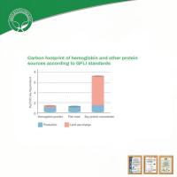 China Leading Manufacturer Spray Dried Hemoglobin Protein for sale