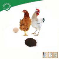 China GMP+ Certified Spray Dried Blood Meal for sale