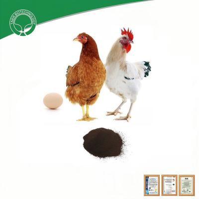 China GMP+ Certified Spray Dried Blood Meal for sale