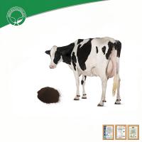 China GMP+ Certified Spray Dried Blood Meal for sale
