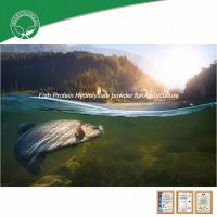 China Fish Feed Water-Soluble Small Peptide Fish Protein for sale