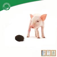 China Avian Origin Spray Dried Blood Meal for sale