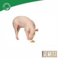 China Spray Dried Plasma Protein for Animal Feed Petfood for sale