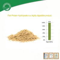 China Fish Protein Hydrolysate Powder for sale