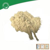 China Factory Price of Soy Peptone CAS 73049-73-7 From China Supplier for sale