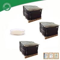 China Factory Offer Nitrogen Source Fish Peptone for Industry Fermentation for sale