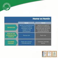 China High Purity Hemin (Choride) From Porcine for sale