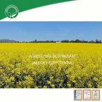 China 15-0.5-0.5 Fish Amino Acid Powder Protein Hydrolysate Organic Fertilizer for sale