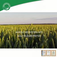 China 15-0.5-0.5 Omri Listed Water Soluble Fish Hydrolysate Amino Acid Powder Organic Fertilizer for sale