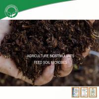 China 15-0.5-0.5 Natural Enzymatic Hydrolyzed Fish Protein Amino Acid Powder Organic Fertilizer for Agriculture for sale