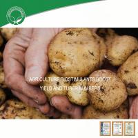 China Water Soluble Bio Fertilizer Organic Nitrogen Amino Acid Powder From Soy Protein for sale