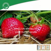 China 13-0-0 Organic Nitrogen Soy Protein Hydrolysate Amino Acid Powder Organic Fertilizer for sale