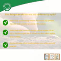 China 100% Enzymatic Hydrolysis Completely Water Soluble Natural Amino Acid Powder Organic Fertilizer for sale