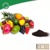 China 100% Natural 100% Water Soluble Amino Acid Powder Organic Iron Organic Fertilizer for sale