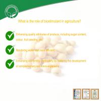 China Biostimulants of High Nutritional Value 100% Water Soluble Amino Acid Powder Organic Iron Organic Fertilizer for sale