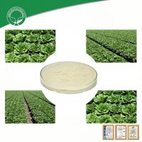 China 15-0.5-0.5 Deep Sea Cold Processed Pure Fish Protein Hydrolysate Amino Acid Powder Organic Fertilizer for sale