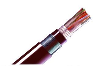 China HYA53 CAT LAN Cable for sale