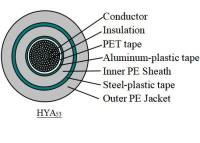 China HYA53 CAT LAN Cable for sale