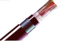 China HYA53 CAT LAN Cable for sale