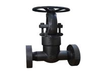 China A105 Forged Steel Flanged Gate Valve Rising Stem DN150 1.6-6.4MPa for sale