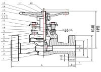 China A105 Forged Steel Flanged Gate Valve Rising Stem DN150 1.6-6.4MPa for sale